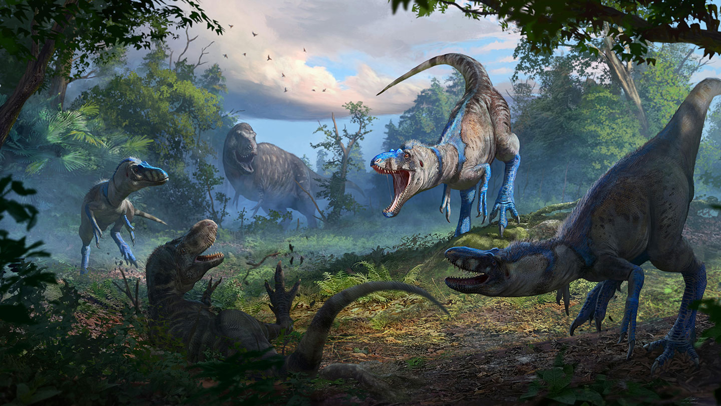 Newfound fossil is not a teen T. rex but a whole new species