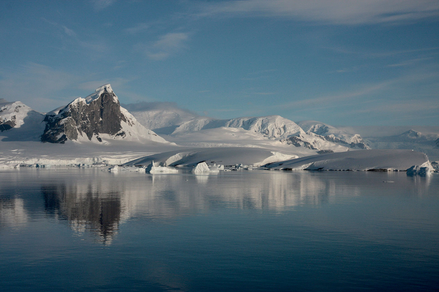 Antarctica faces a green and weedy future