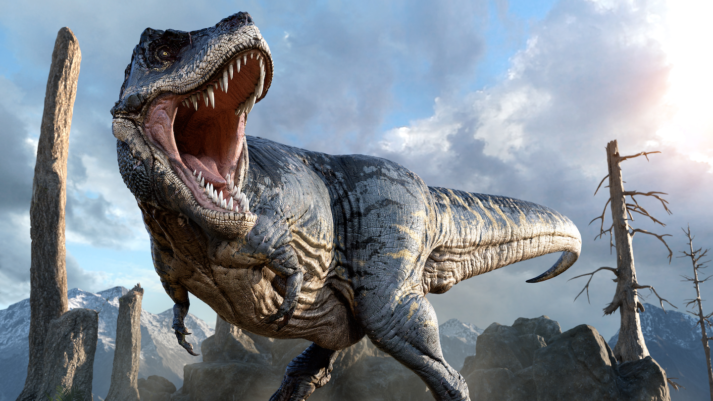 Let’s learn about Tyrannosaurus rex
