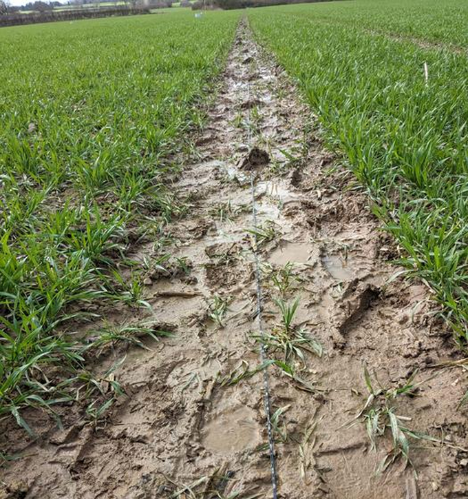 Deeply plowing farm fields can do more harm than good