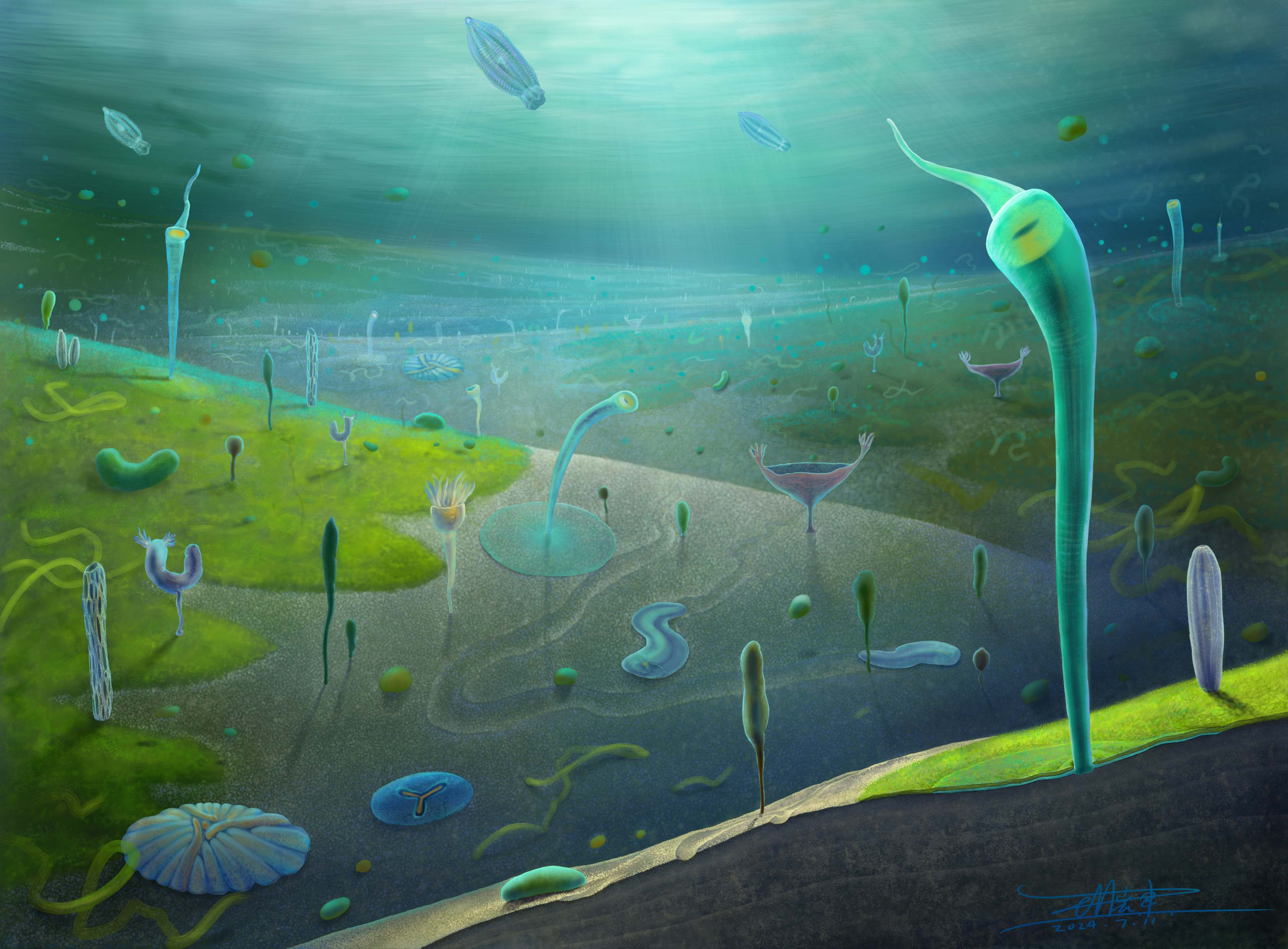 The dawn of animal evolution saw a bizarre array of sea creatures